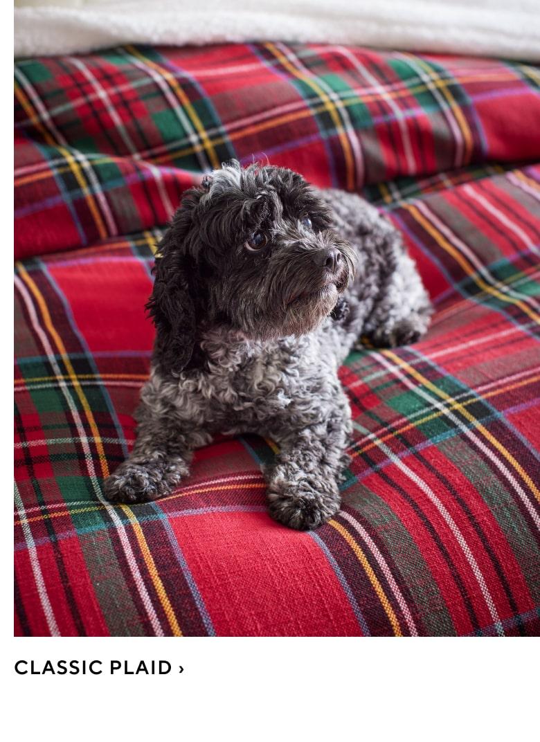 Bed Sheets, Bed Linens & Sheet Sets - Pottery Barn Australia