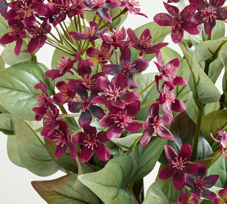 Faux Burgundy Flower Bundle | Pottery Barn Australia