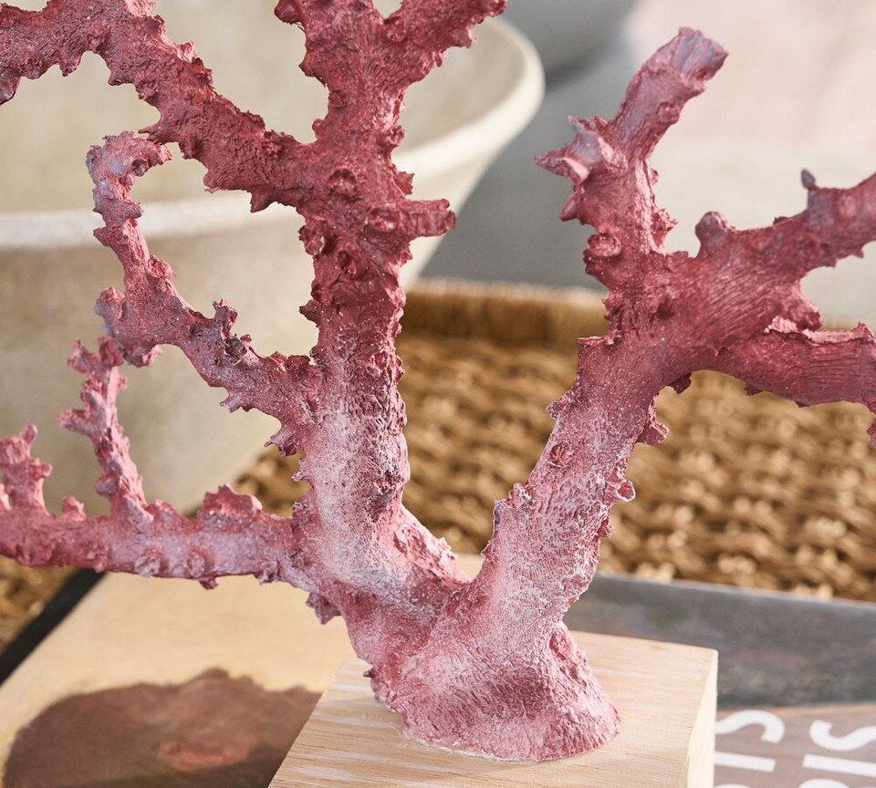 Faux Coral Decorative Objects | Pottery Barn Australia