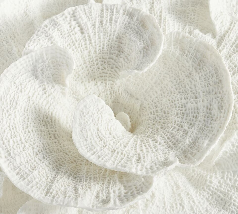 Faux Coral Decorative Objects - Pottery Barn Australia