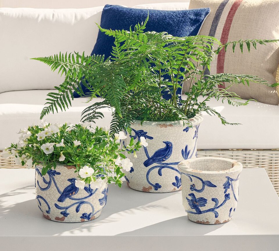 Montrose Cachepot | Pottery Barn Australia