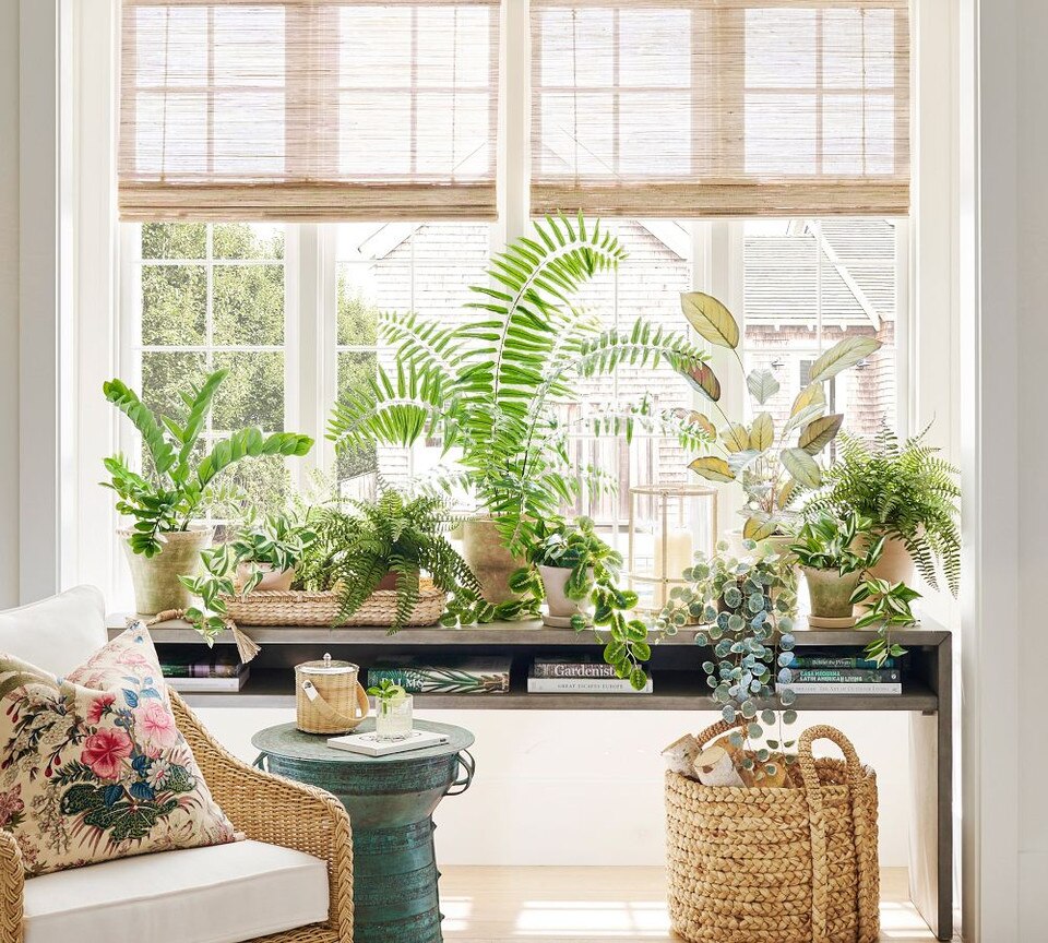 Faux Potted Sword Fern | Pottery Barn Australia