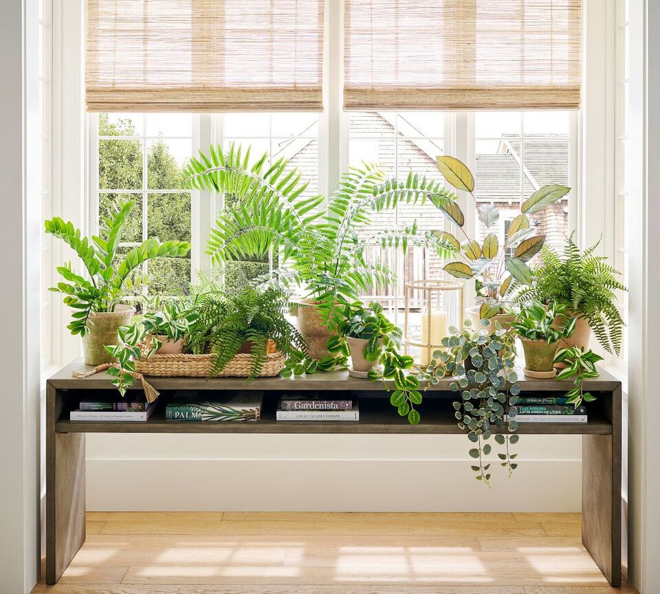 Faux Potted Sword Fern | Pottery Barn Australia
